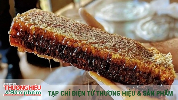 Loại mật ong đắt nhất thế giới hơn trăm triệu đồng/lít có công dụng gì?