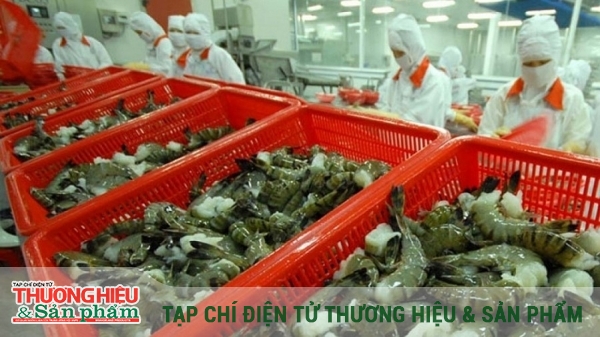 Xuất khẩu tôm sang Australia còn nhiều dư địa